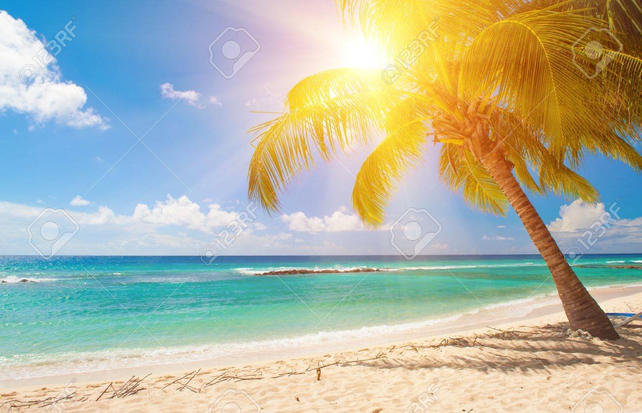 Dónde se encuentra Punta Cana y cómo llegar a este destino paradisíaco